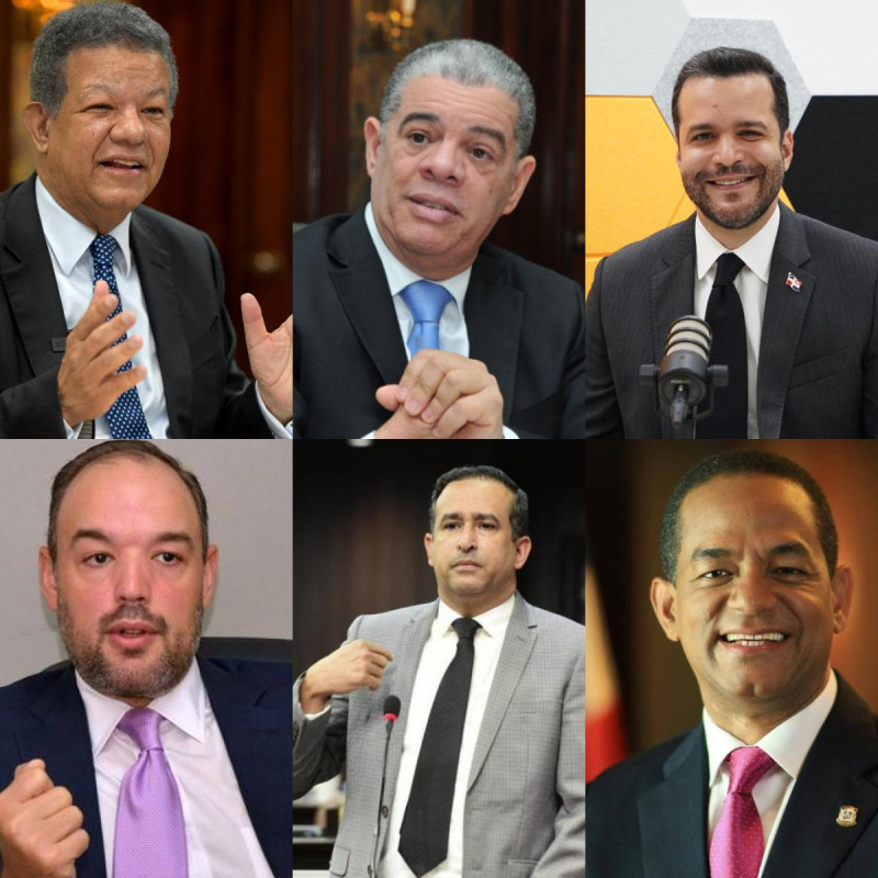 El PLD ha perdido a 12 miembros de su poderoso comité político desde el ...